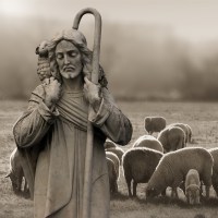 Parish of the Good Shepherd – St Thomas of Canterbury & the English ...